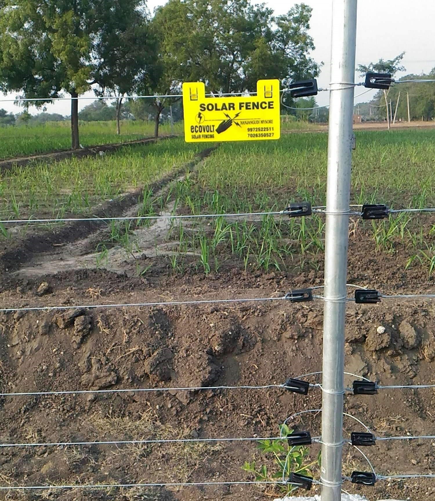 Solar Fencing 9 Lines (mtr)