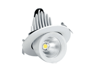 LED Zoom Light 30W (WW)